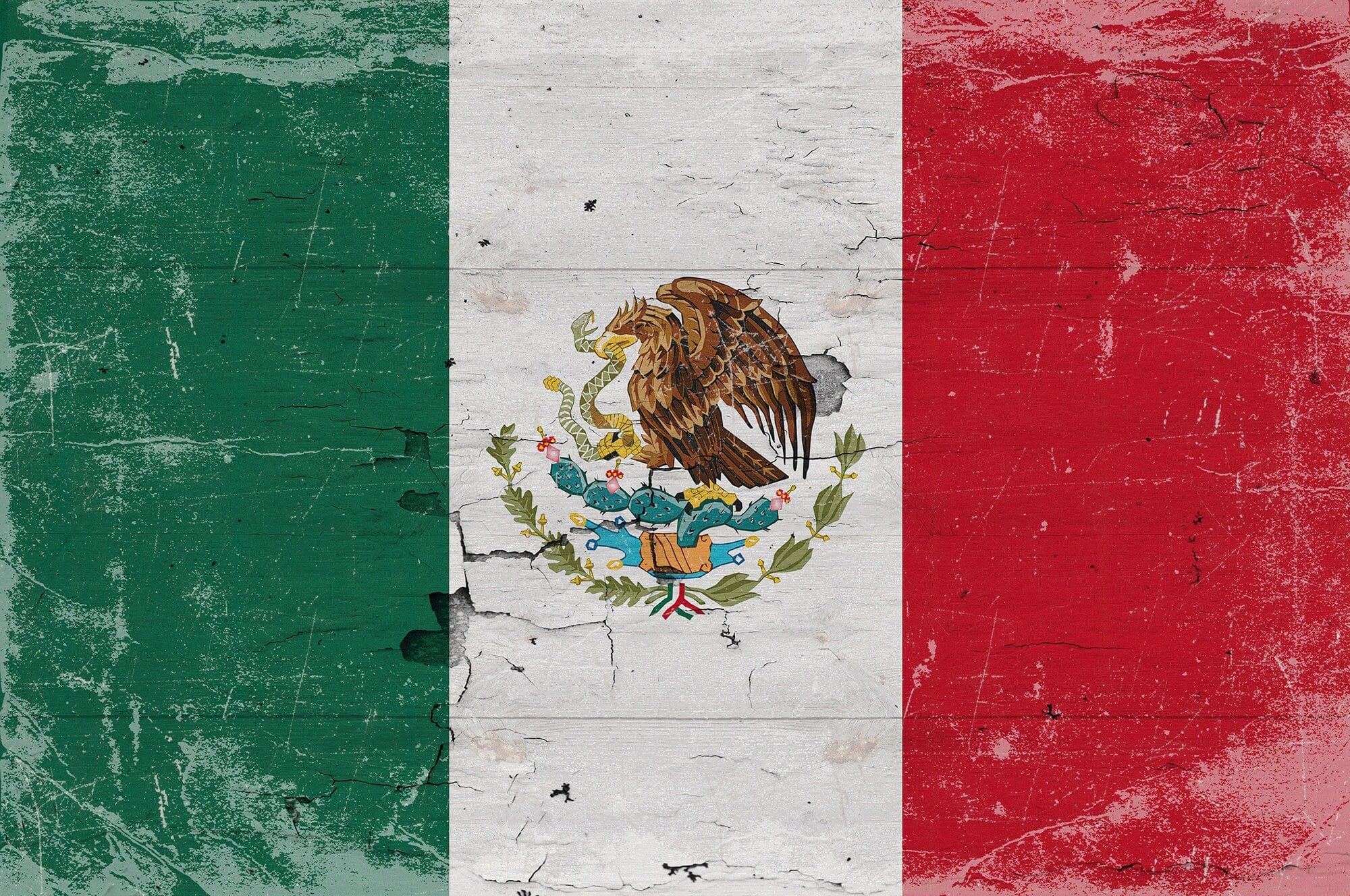 mexican flag artwork
